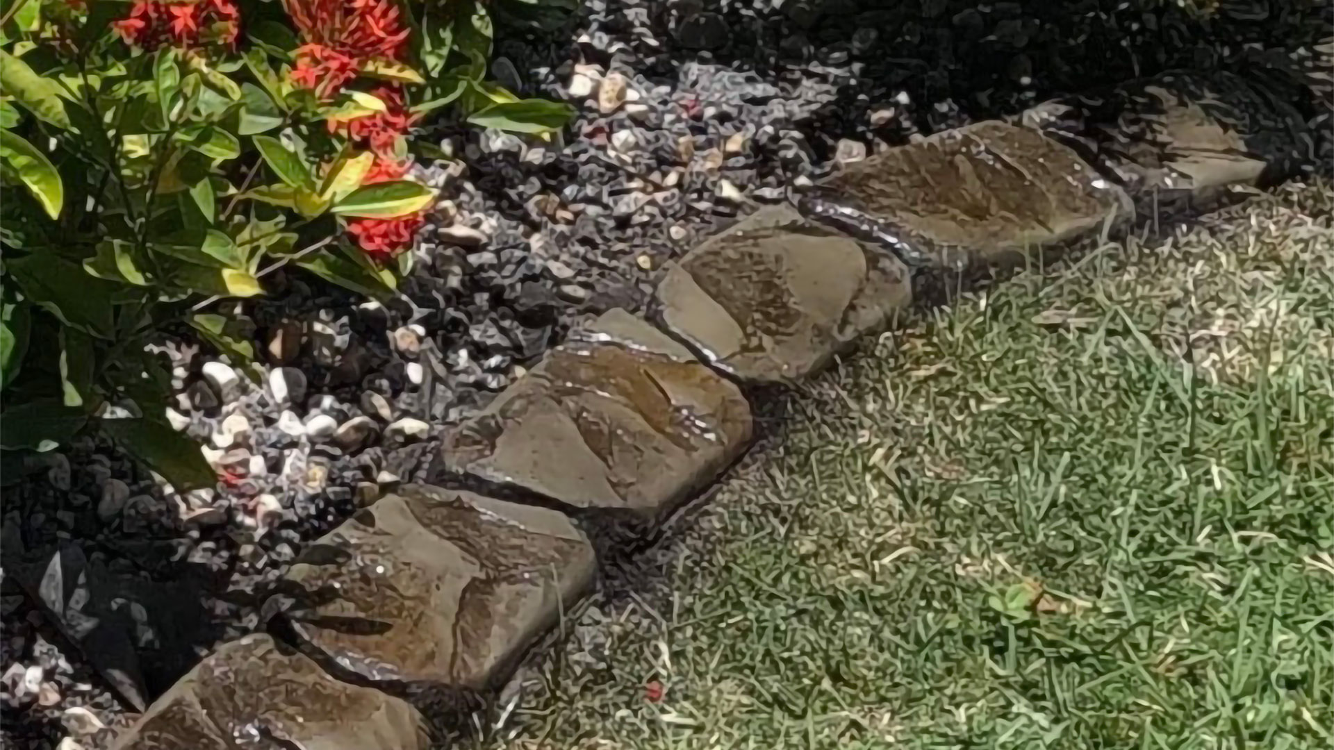 Coastal Creative Curbing | Professional Landscape Edging