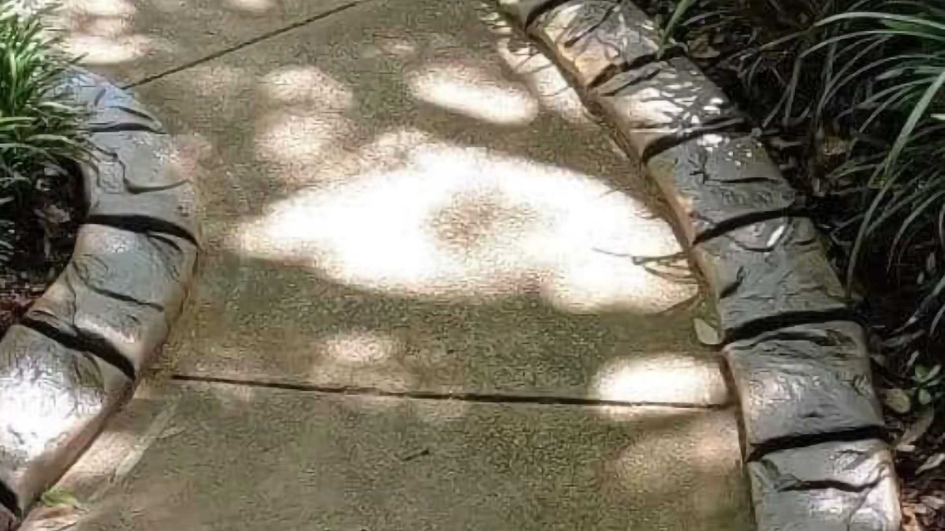 Coastal Creative Curbing | Professional Landscape Edging