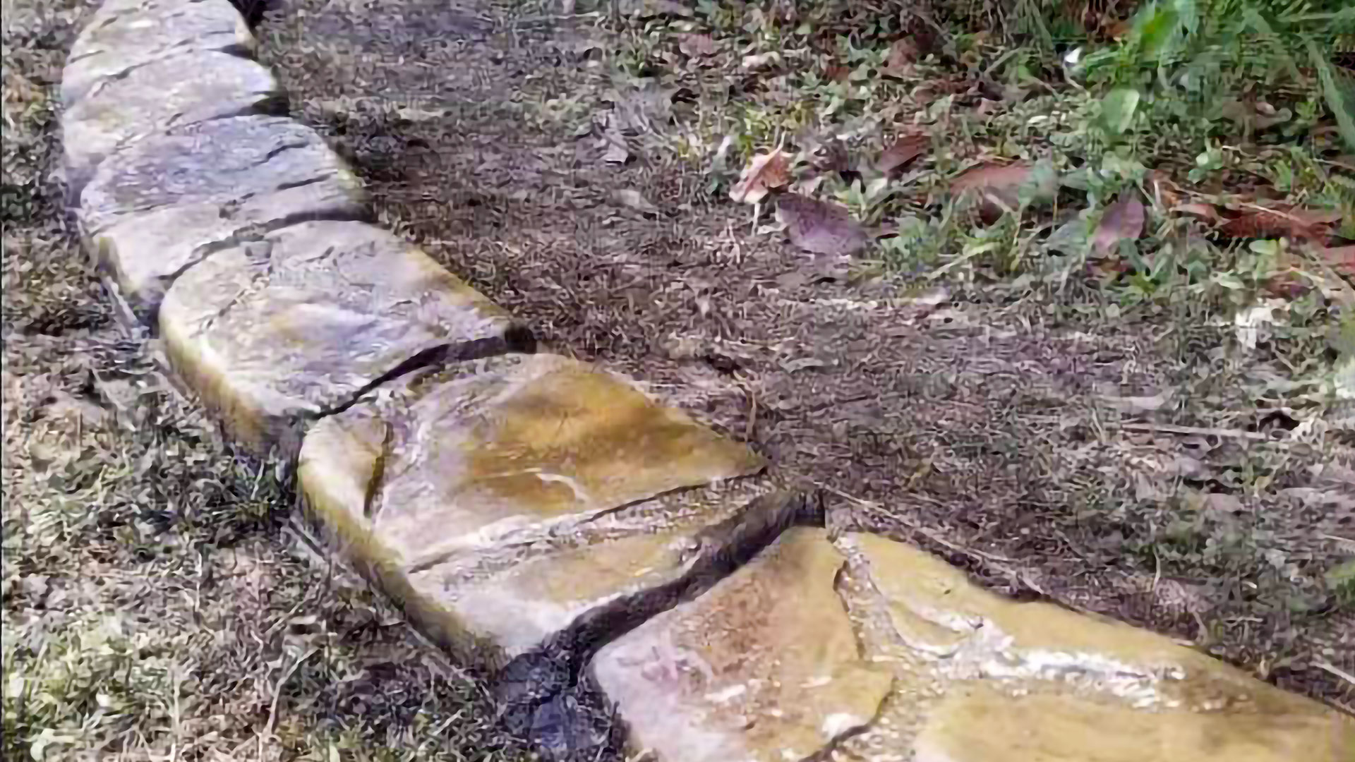 Coastal Creative Curbing | Professional Landscape Edging